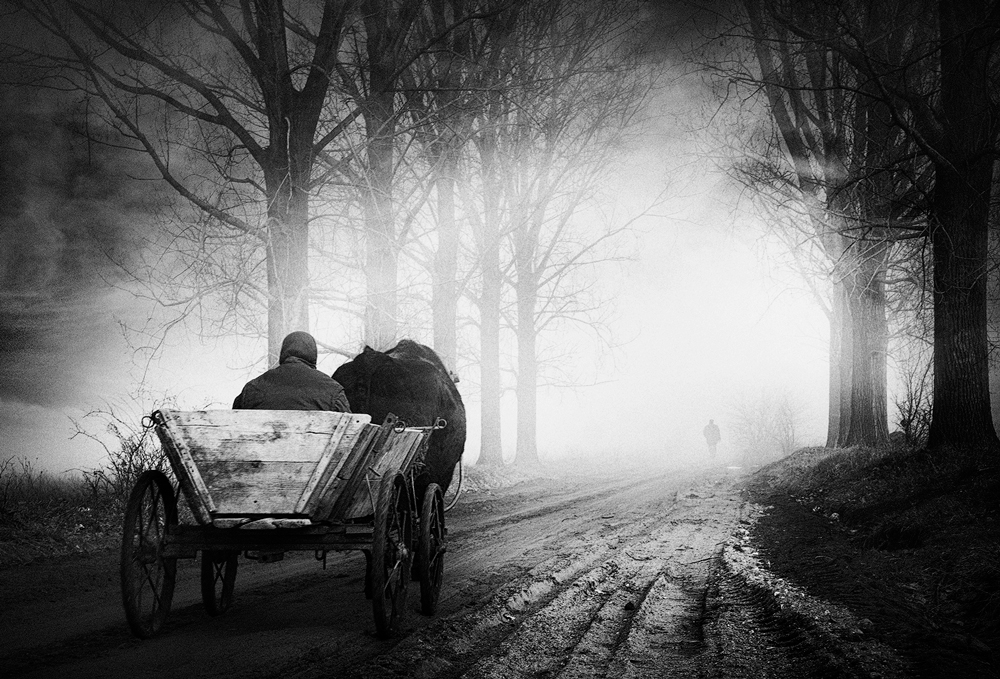 An early morning encounter... by Sebastian Prioteasa, Photography ...