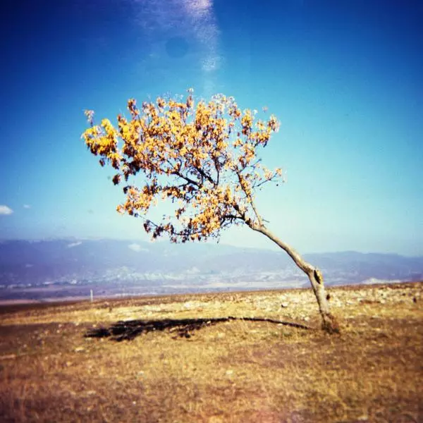 Suburban pathways by Mark Pimlott, Photography, Medium-format film