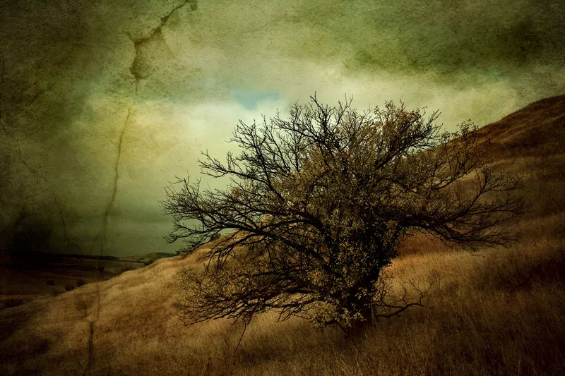 Hopeless by Nicu Hoandra, art work | Art Limited