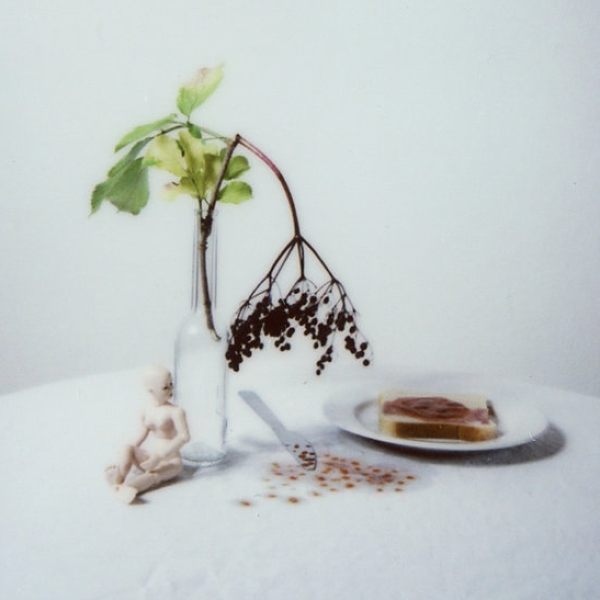 The Buttercup Flowers by Victoria Dumesh, Photography, Digital - Art ...