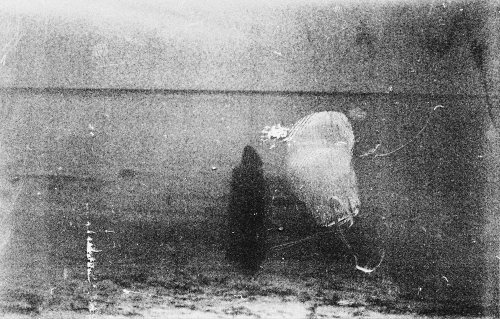 Amnesia by Philomena Famulok, Photography | Art Limited