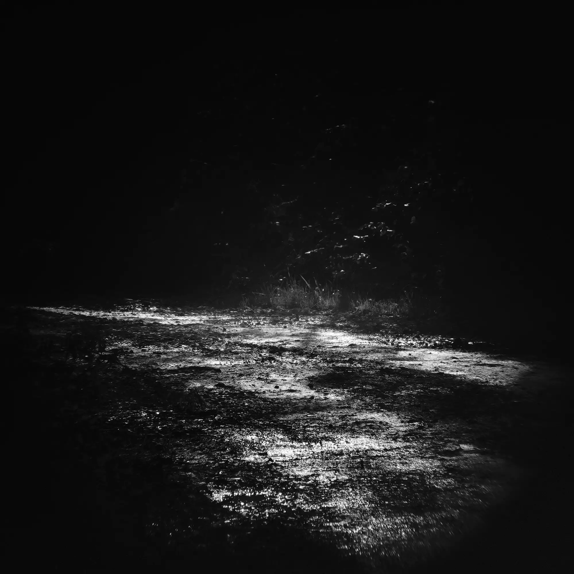 Night in thy Fair Imperfect form... by Emmanuel Knibbe, Photography ...