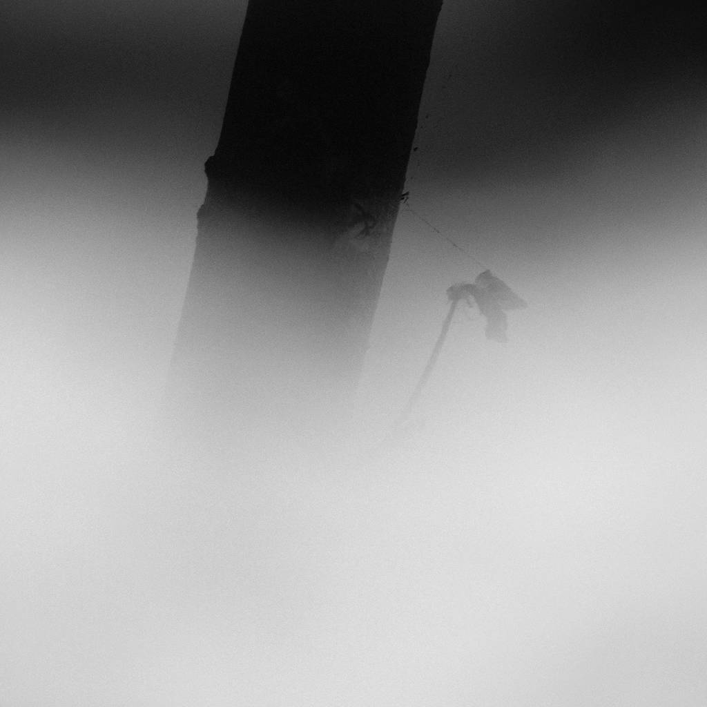 Fragile by Emmanuel Knibbe, Photography, Digital | Art Limited