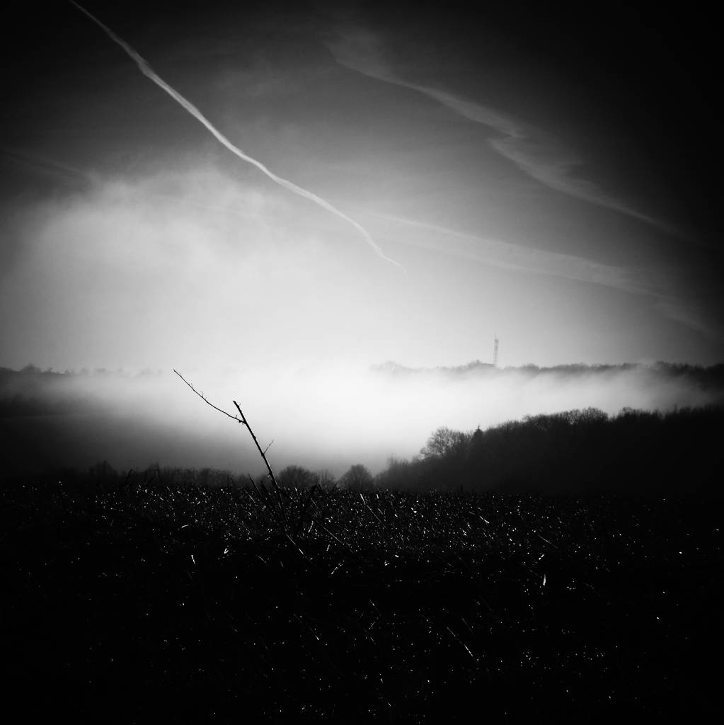 The Silence by Emmanuel Knibbe, Photography, Digital | Art Limited