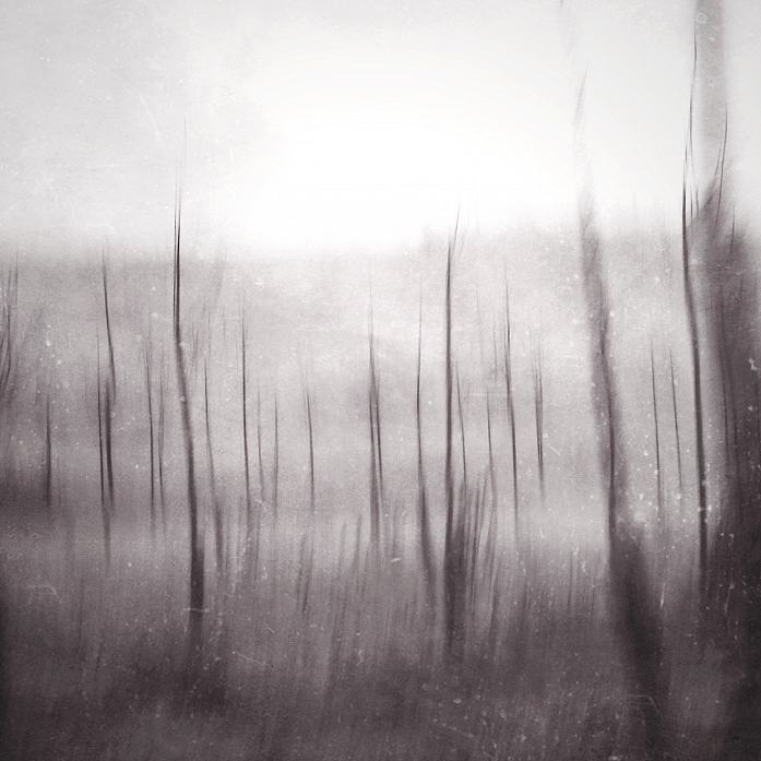 Whispering Winds by Emmanuel Knibbe, Photography, Digital | Art Limited