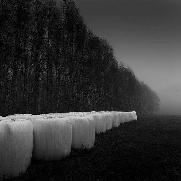 White Line par Krzysztof Jędrzejak, Photographie, Numérique | Art Limited