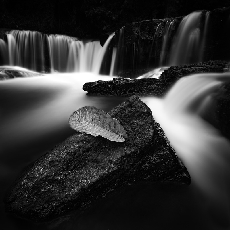 Isolated by Jeff Mercader, Photography, Digital | Art Limited