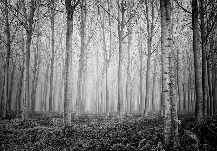 Parallel Lines by Alessandra Riva (brivage), Photography, Digital | Art ...