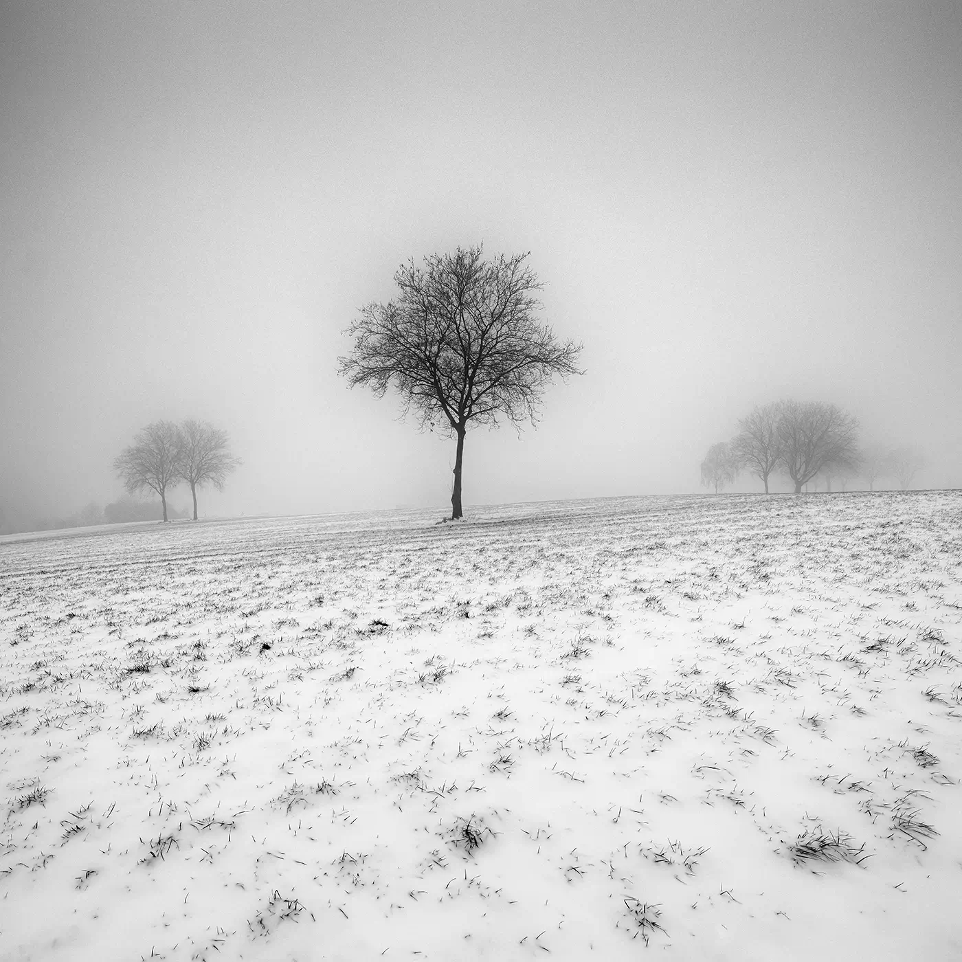 In front par Gérard Verbecelte, Photographie, Numérique | Art Limited