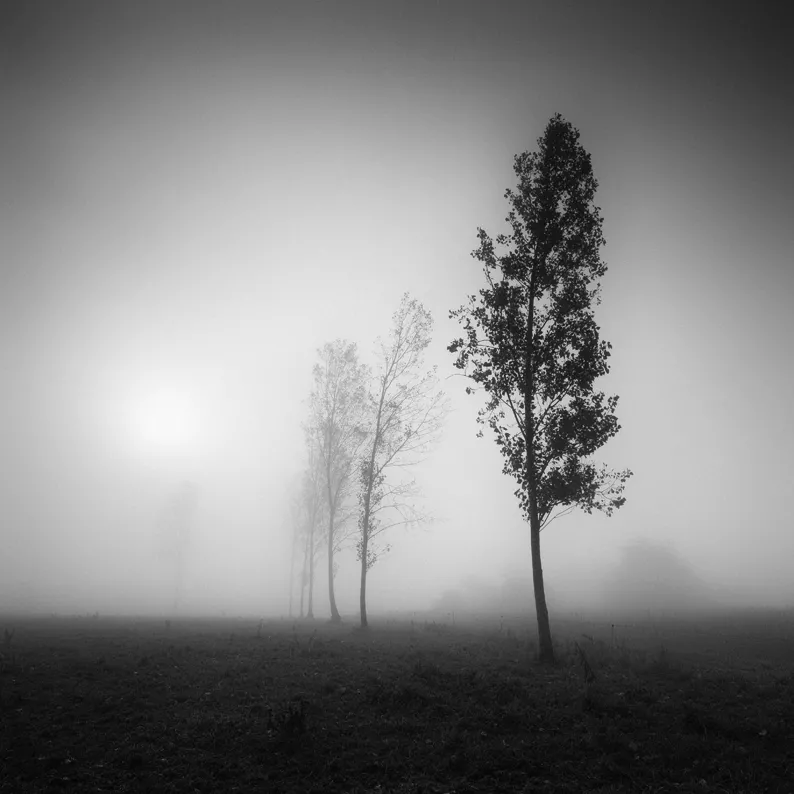 Nascent sun by Gérard Verbecelte, Photography, Digital