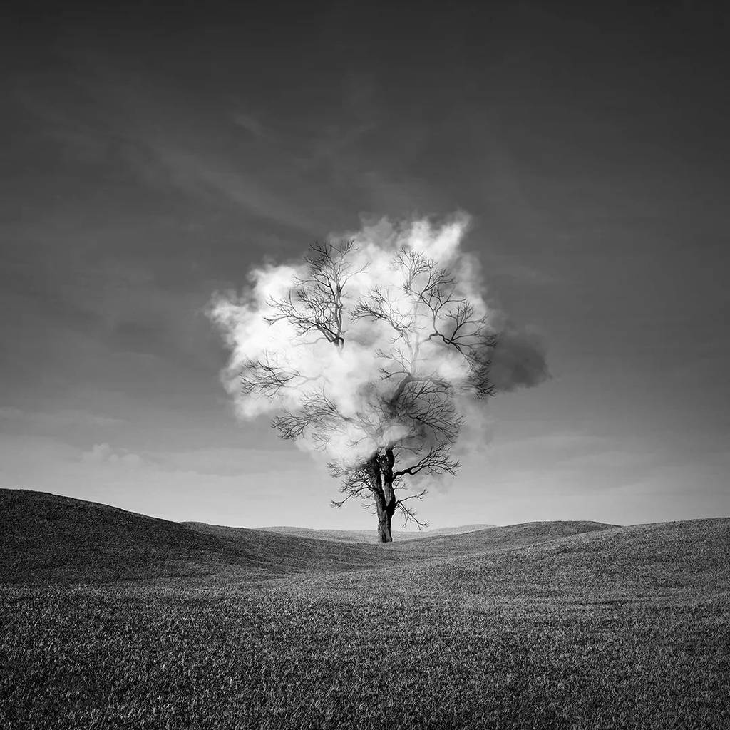 Tree and cloud no2 by Marcin Jastrzębski, Digital art, Computer graphic ...