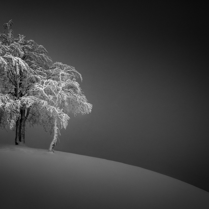 Obscure by Patrick Ems, Photography, Digital | Art Limited