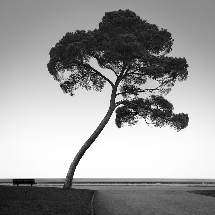 The silent guardian by Patrick Ems, Photography, Digital | Art Limited