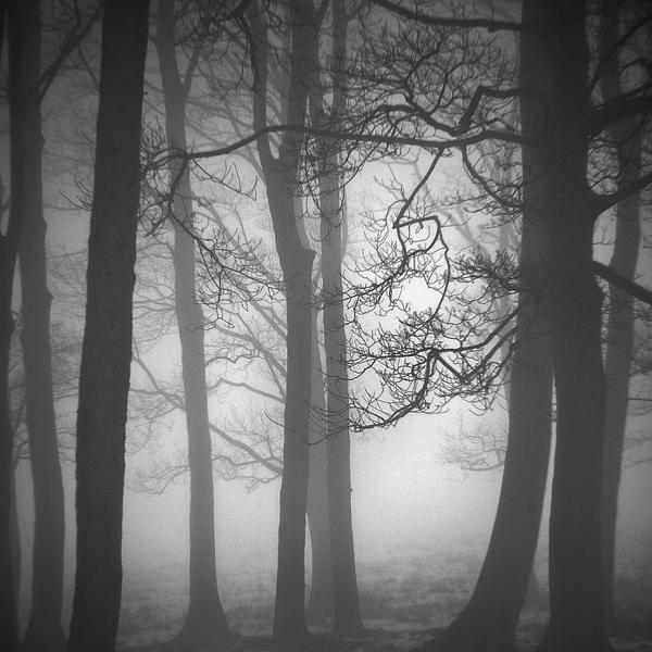 My Whirling Mind by Stephen Mcnally, Photography, Montage, retouching ...