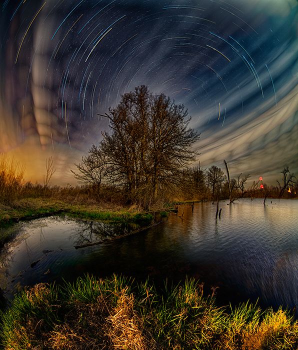 Determining Ground by Wilson Hurst, Photography | Art Limited