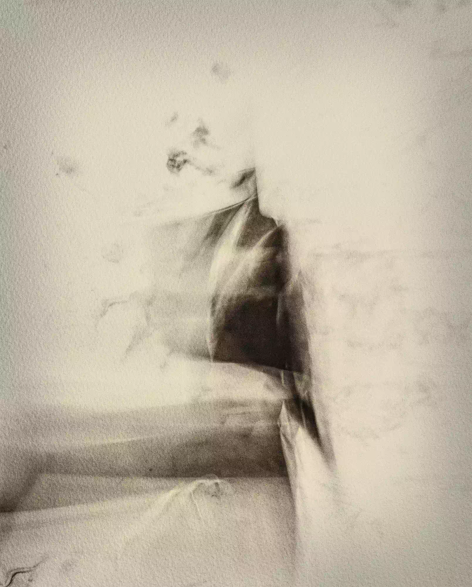 The quick-change Artist by Michaela Sibi, art work | Art Limited