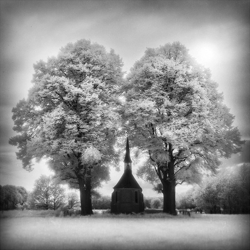 Ir by Ivo Bogaerts, art work | Art Limited