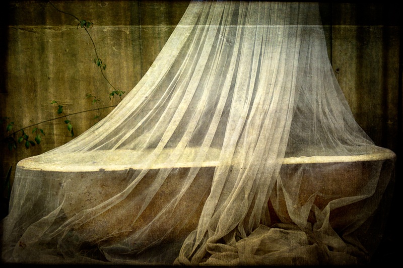 Diaphanous by Adrian Bradley, art work | Art Limited