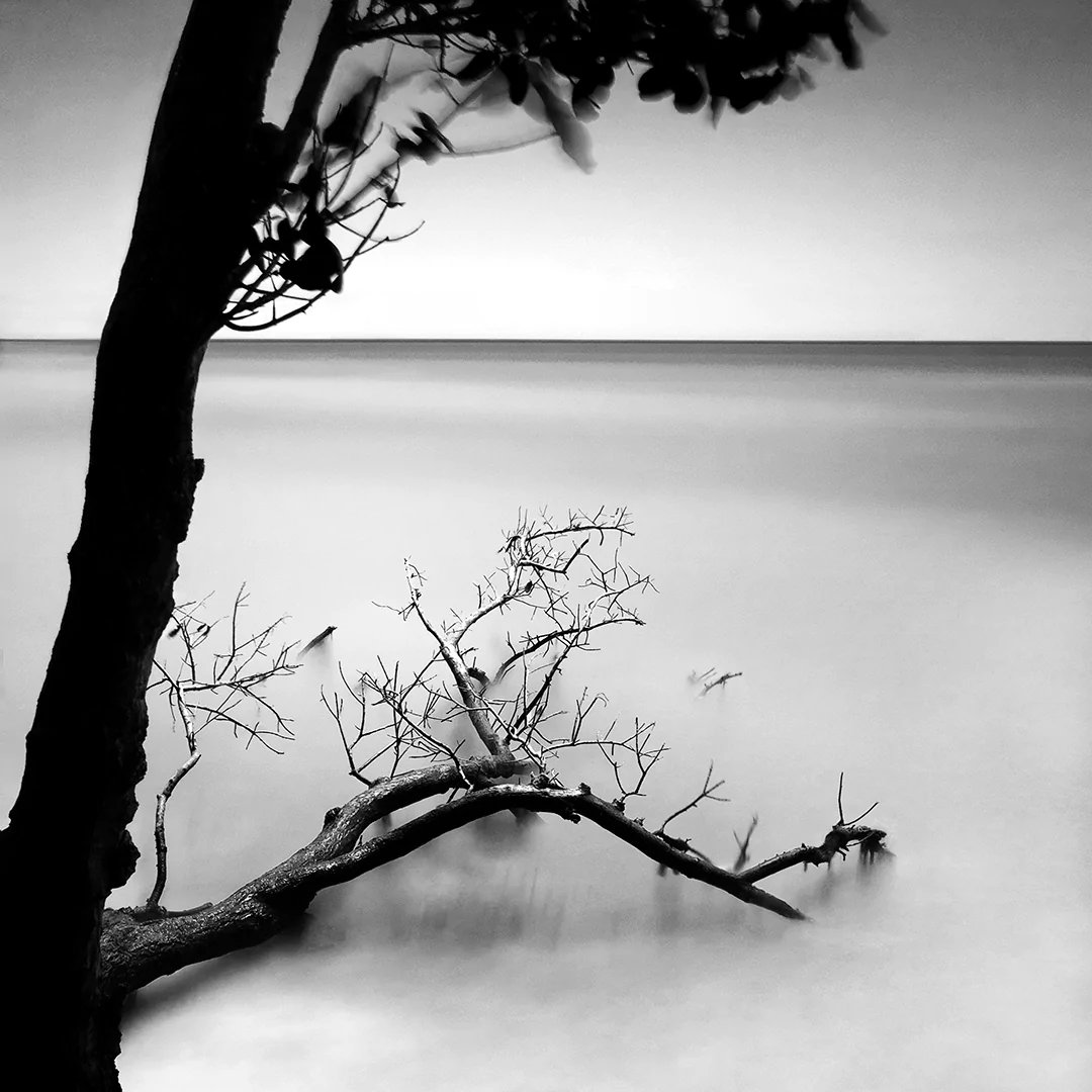 Goodbye neighbor by Abi Katon, Photography, Digital | Art Limited