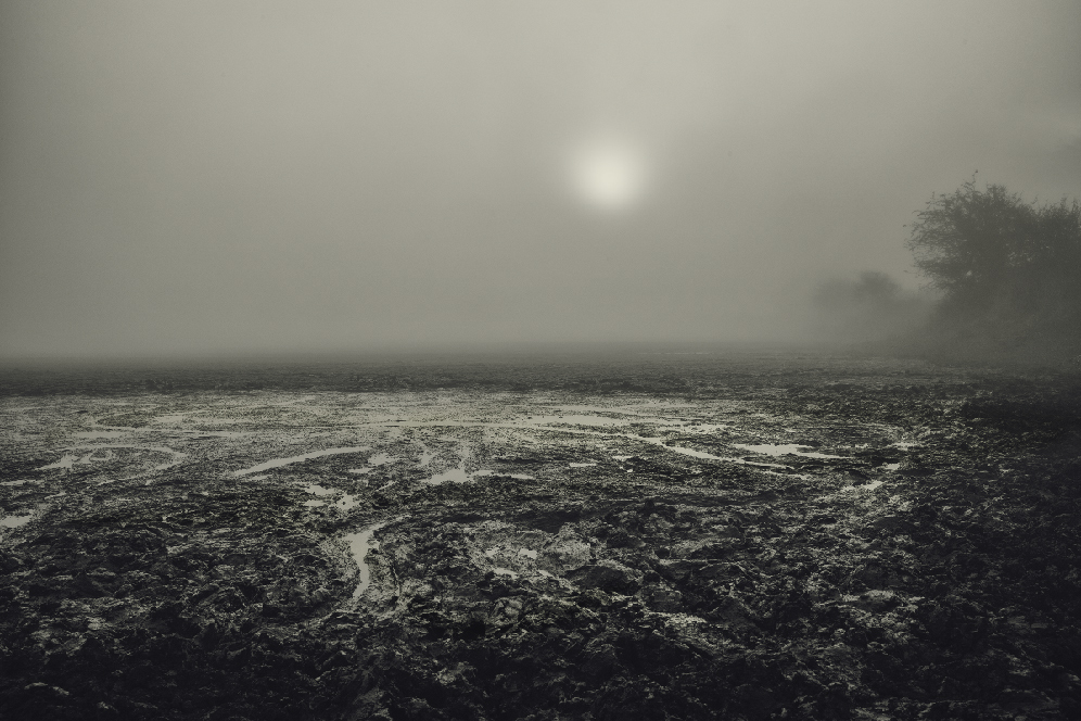 Dry Season by Irca Caplikas, Photography | Art Limited