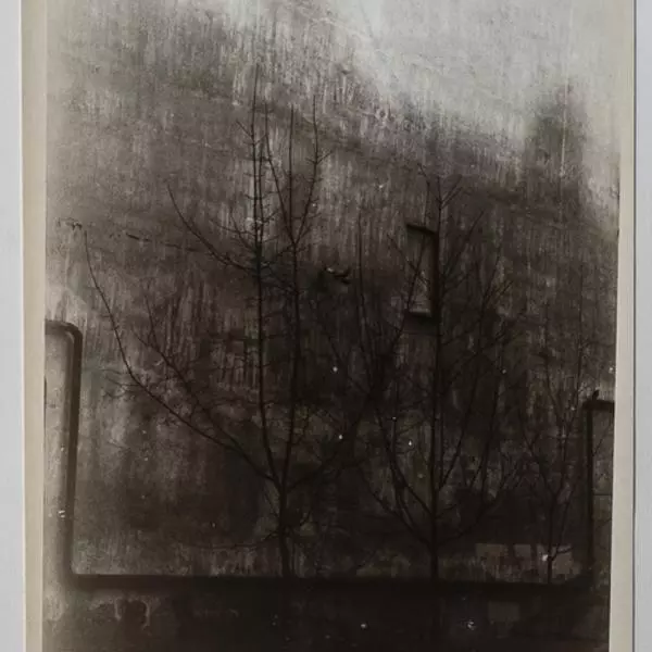 Untitled by Egor Baranov, art work | Art Limited