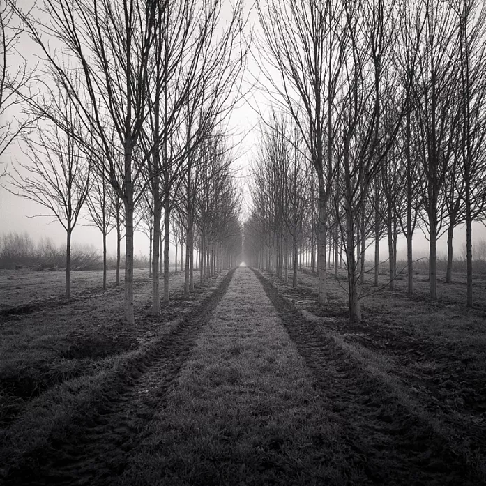 Multiplicity Iii by Michael Salmela, Photography, Medium-format film ...