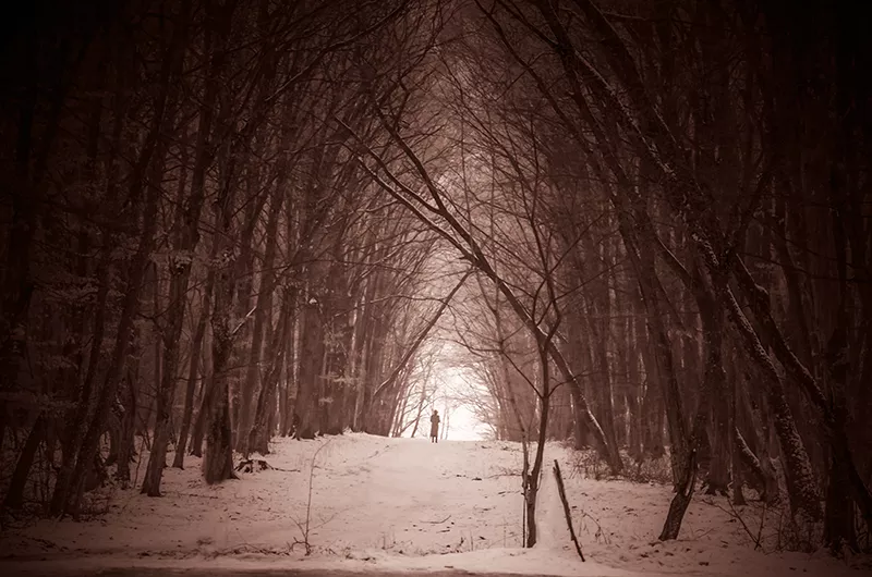 Felixarium by Ramona Masut, art work | Art Limited