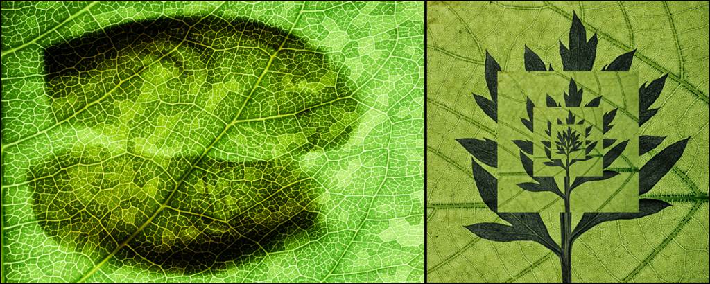 Reinterpretation 09 - asymmetric diptych by Marco Pastori, Photography ...