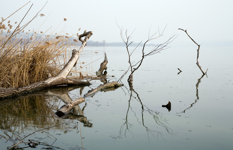 Sad Lake 02 by Marco Pastori, Photography, Digital | Art Limited