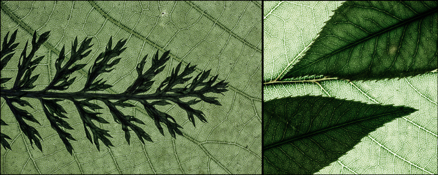 Reinterpretation 07 - asymmetric diptych by Marco Pastori, Photography ...