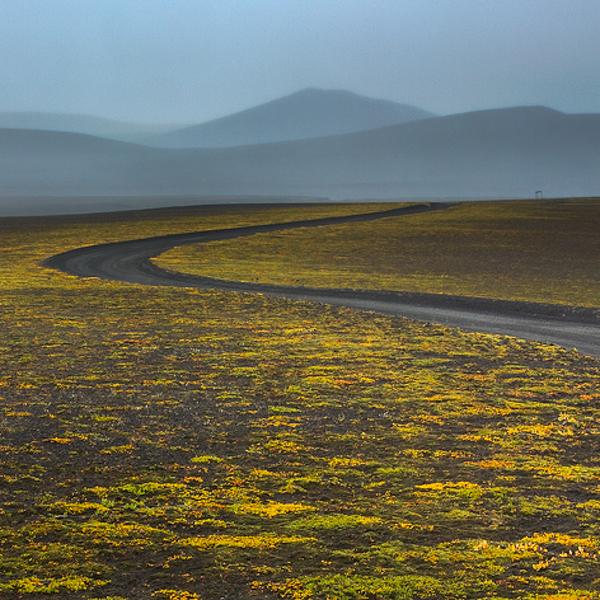 Untitled by Samuel Feron, Photography | Art Limited