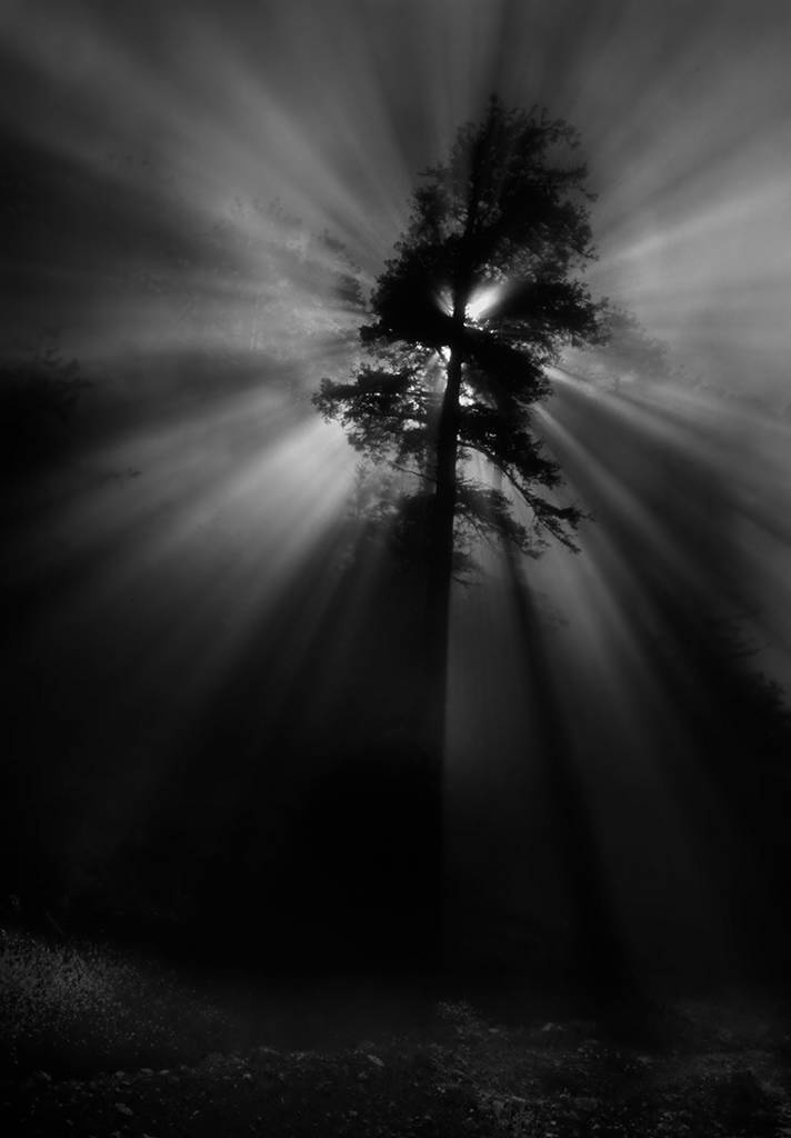 Morning Mist Ii by James A Crawford, Photography, film 24x36, 35mm ...