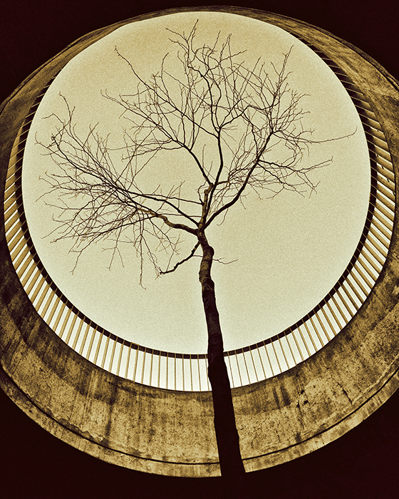 Outgrow by DoríS, Photography, Digital | Art Limited