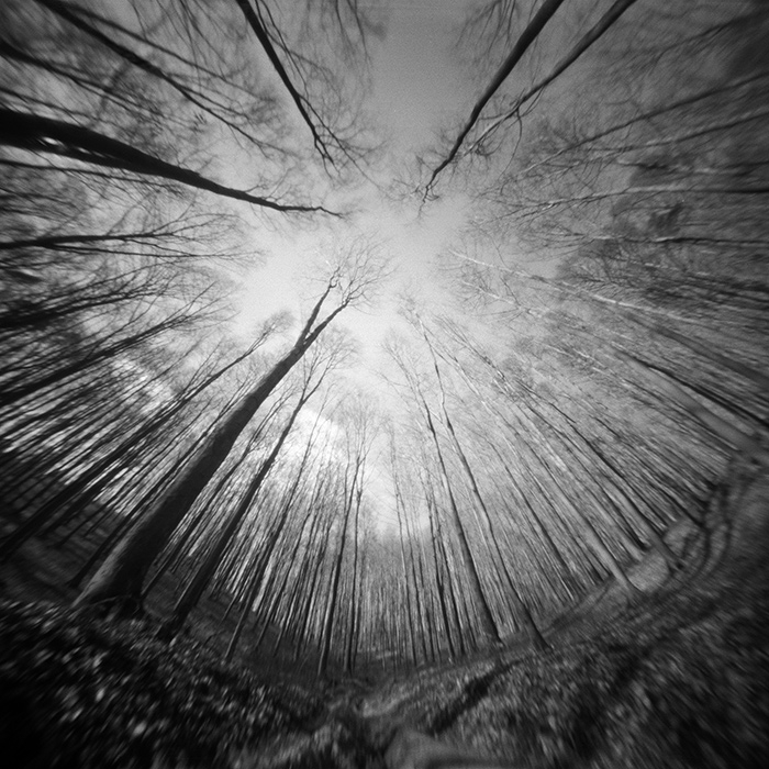 V by Leszek Wyrzykowski, Photography, Pinhole | Art Limited
