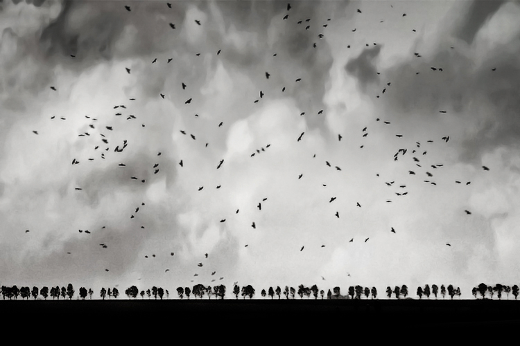 Bataille De Semeurs (Battle Sowers) by Hervé Duperron, Photography ...