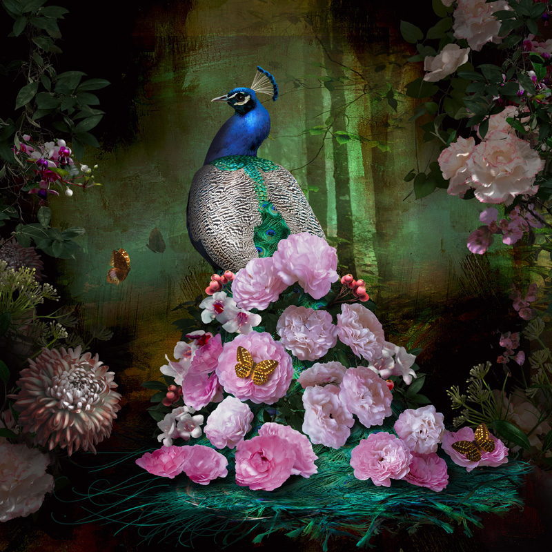 Remnants Of A Deeper Purity by Martin Irish, Drawing, Digital | Art Limited