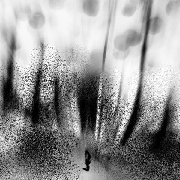 shadow manipulation photography