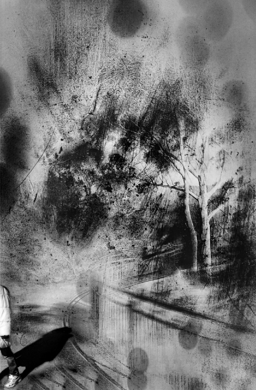 The Curve by Massimiliano Balò, Digital art, Manipulation | Art Limited