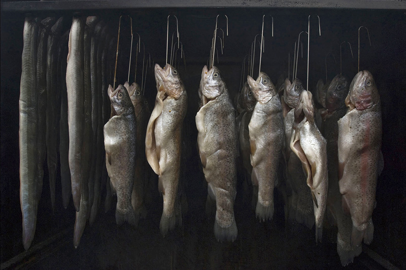 Bad Luck Fish by Ben Seelt, art work | Art Limited