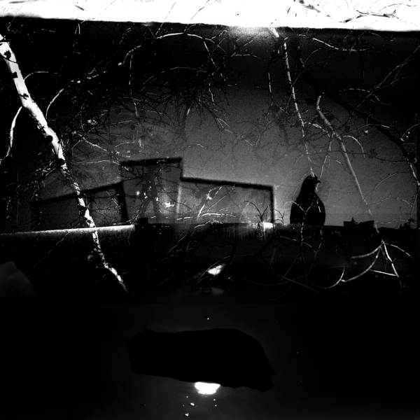 Random access memory by Roland Biró, Digital art, Montage, retouching ...