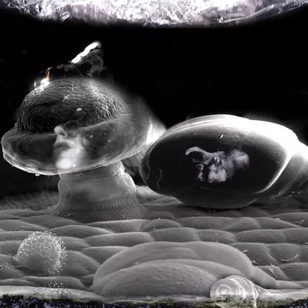 Random access memory by Roland Biró, Digital art, Montage, retouching ...