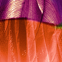 Group projects | Art Limited