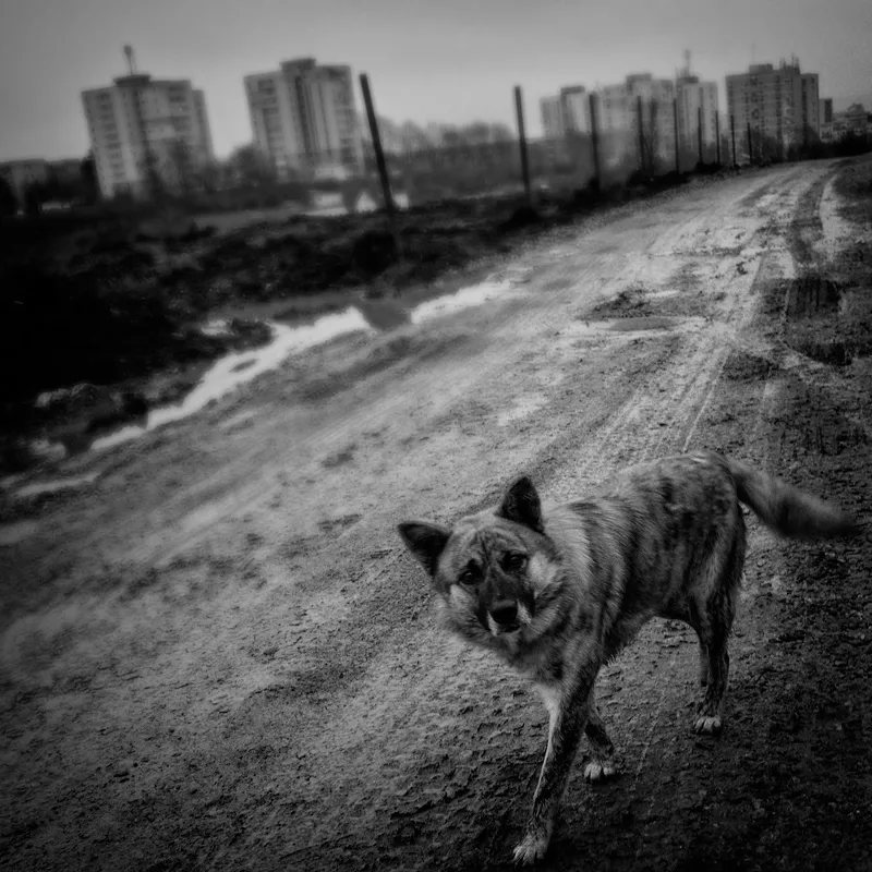 Project Zero Civilization by Andrea Vassalli, Photography | Art Limited