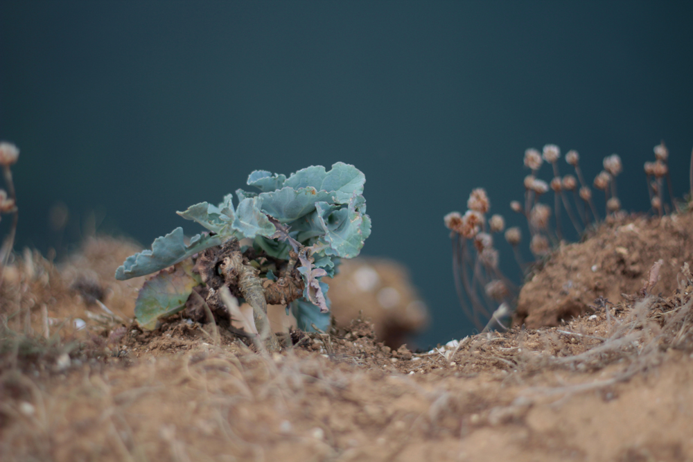 Vesperal by Lecdeb, Photography, Digital | Art Limited