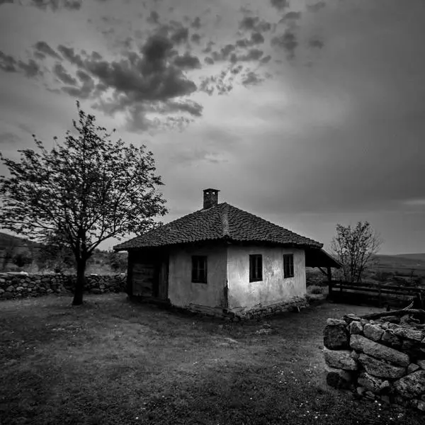 Orange by Ivan Stojanovic, Photography | Art Limited