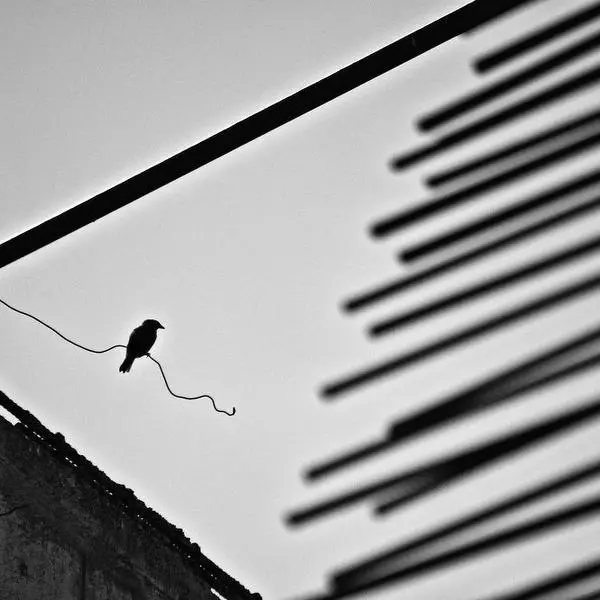 Orange by Ivan Stojanovic, Photography | Art Limited