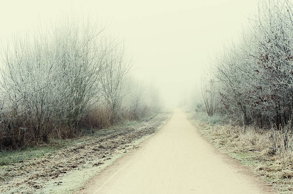Winter Is Fading Away by Paula van den Akker, Photography, Digital ...