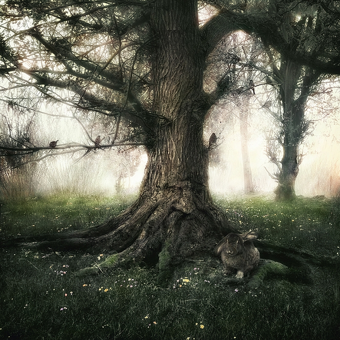 Treebeard by Sherry Akrami, art work | Art Limited