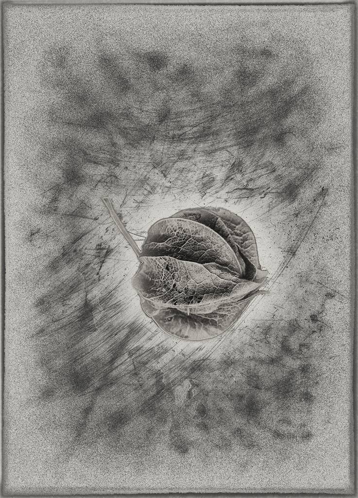 Fall Haiku IV by Alma Bibolotti, Digital art | Art Limited