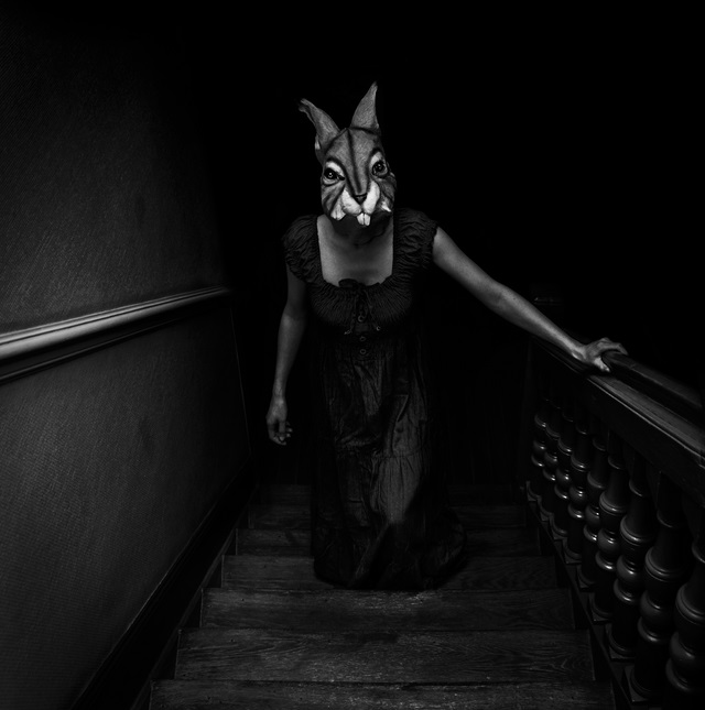 The Rabbit by Pierre-Yves Donzé, art work | Art Limited